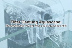 Filter Gantung Aquascape: Efisien untuk Tank Mini - Aquair Indonesia